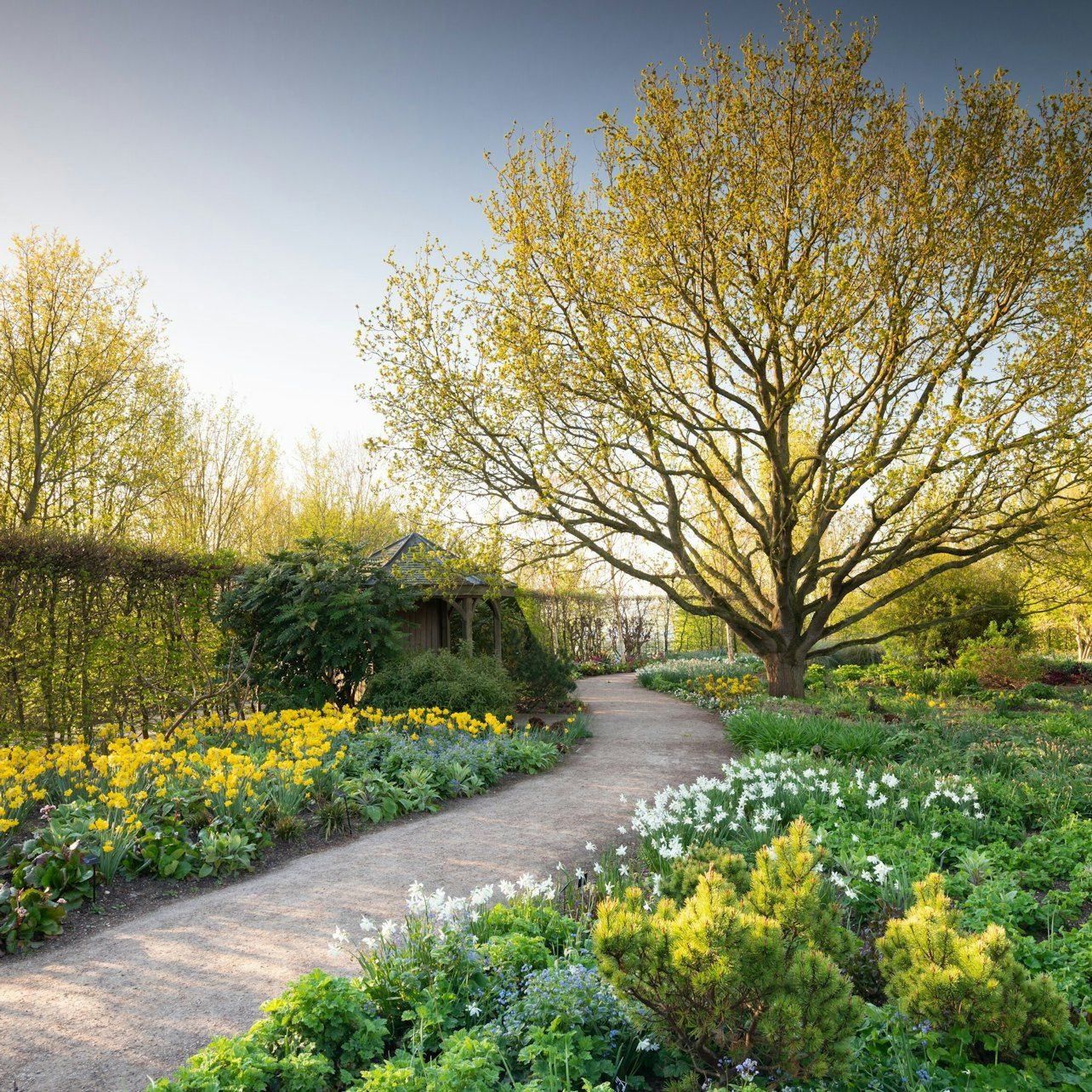 Tickets to RHS Garden Hyde Hall: Entry Ticket 2026 - Tickete