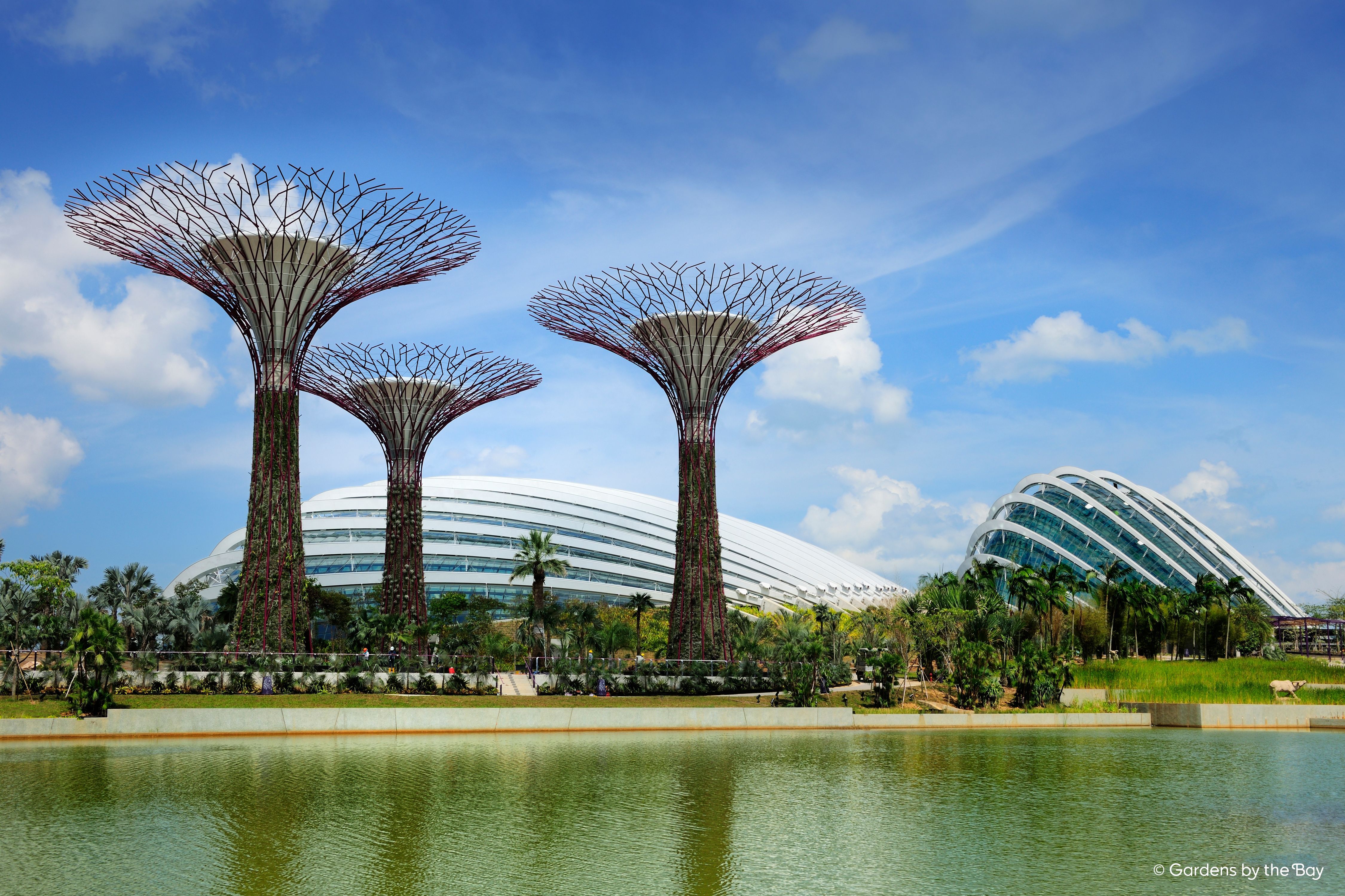Tickets to Gardens by the Bay: Flower Dome + Cloud Forest + Floral ...