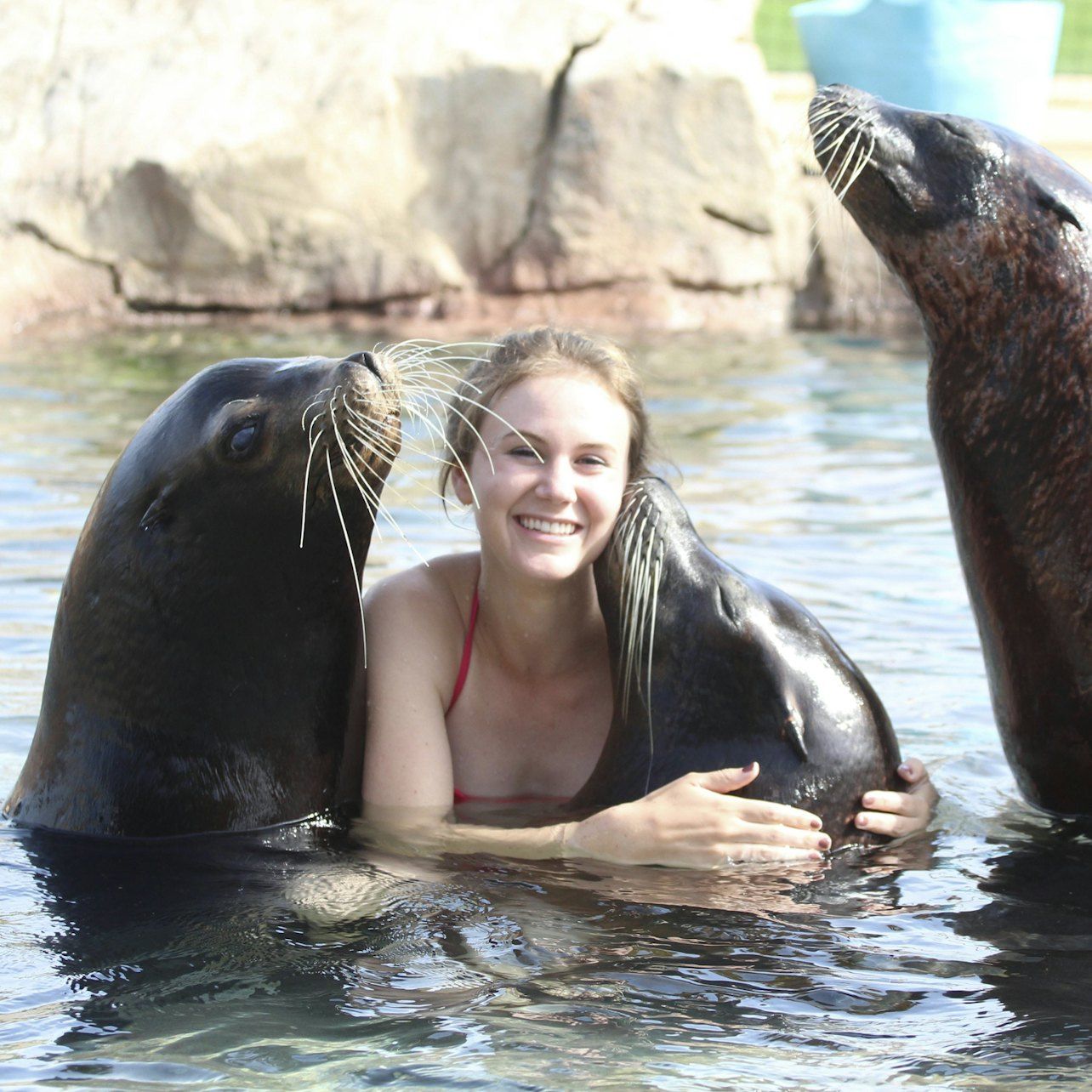 Tickets to Aqua Natura Benidorm: Entry Ticket 2026 - Tickete
