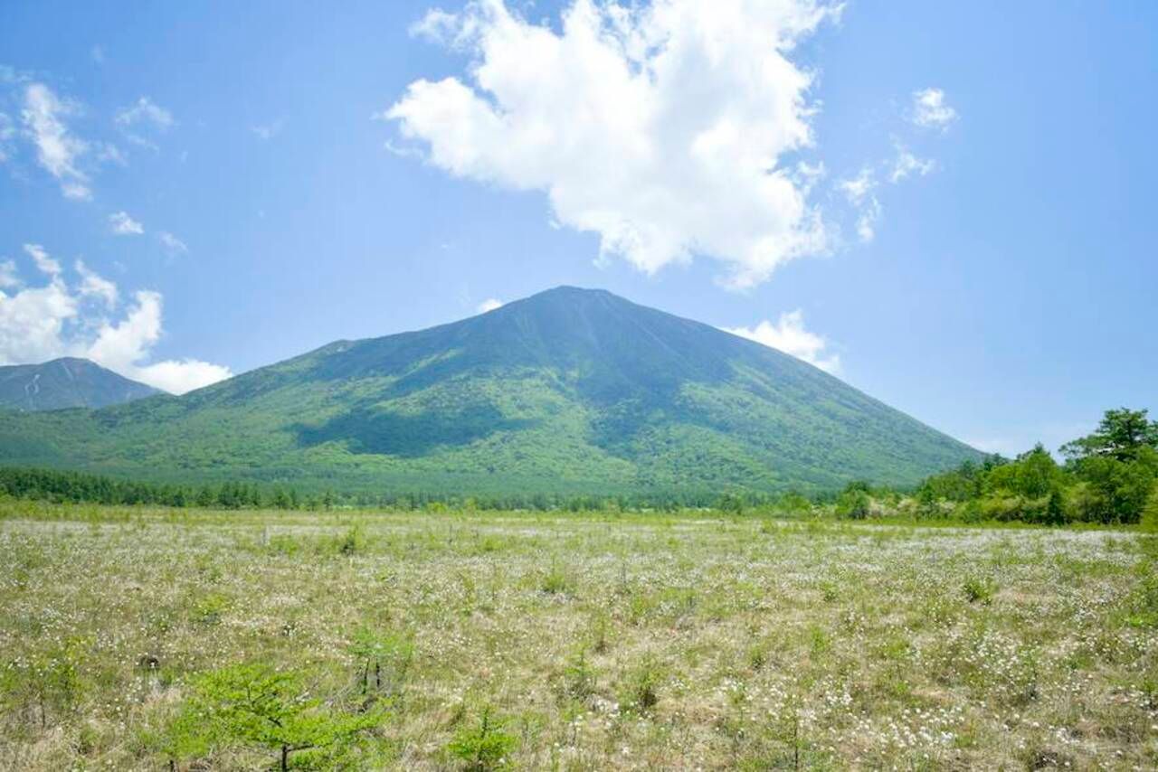 Tickets to Nikko Pass All Area 2026 - Tickete