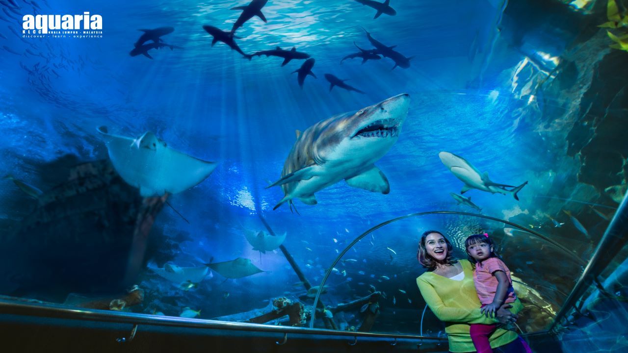 Tickets to Aquaria KLCC 2026 - Tickete