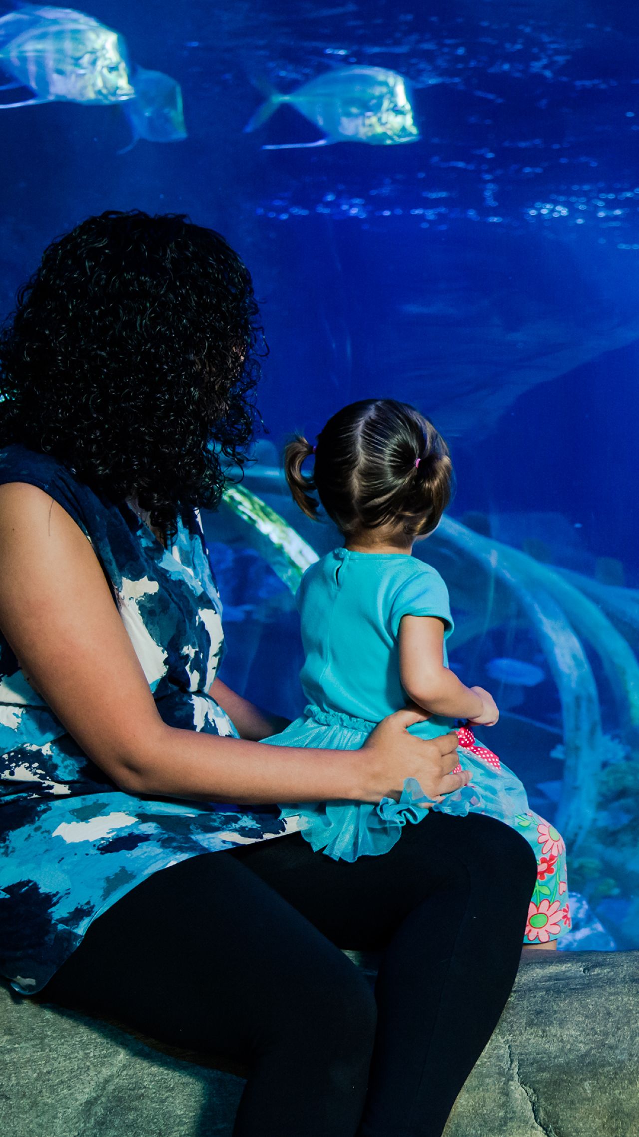 Tickets to SEA LIFE Paris Aquarium 2026 - Tickete