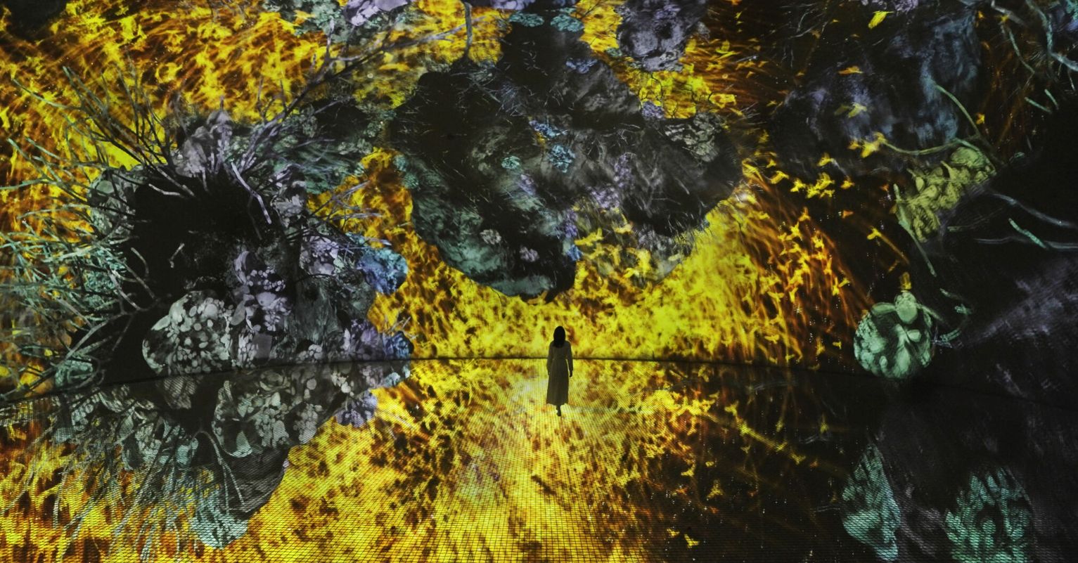 Tickets to TeamLab Phenomena Abu Dhabi 2026 - Tickete