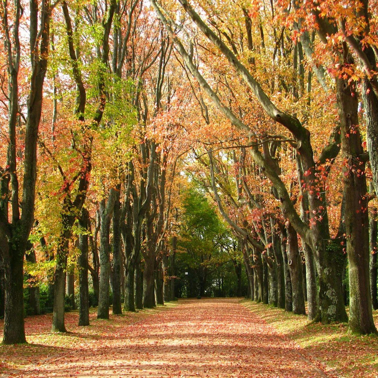 Tickets to Serralves Foundation: All-Access Entry Ticket 2026 - Tickete