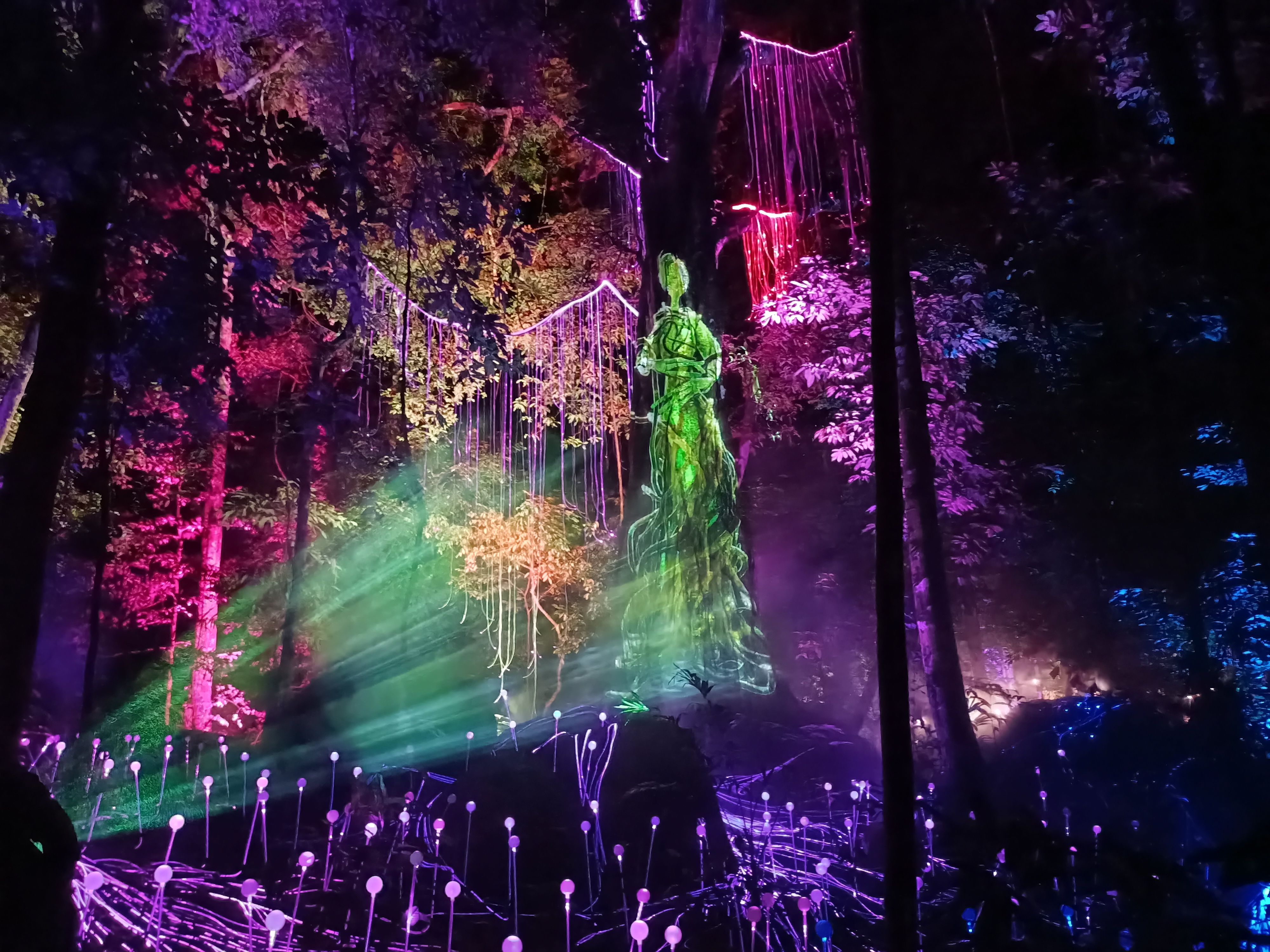 Tickets to Dream Forest Langkawi 2026 - Tickete