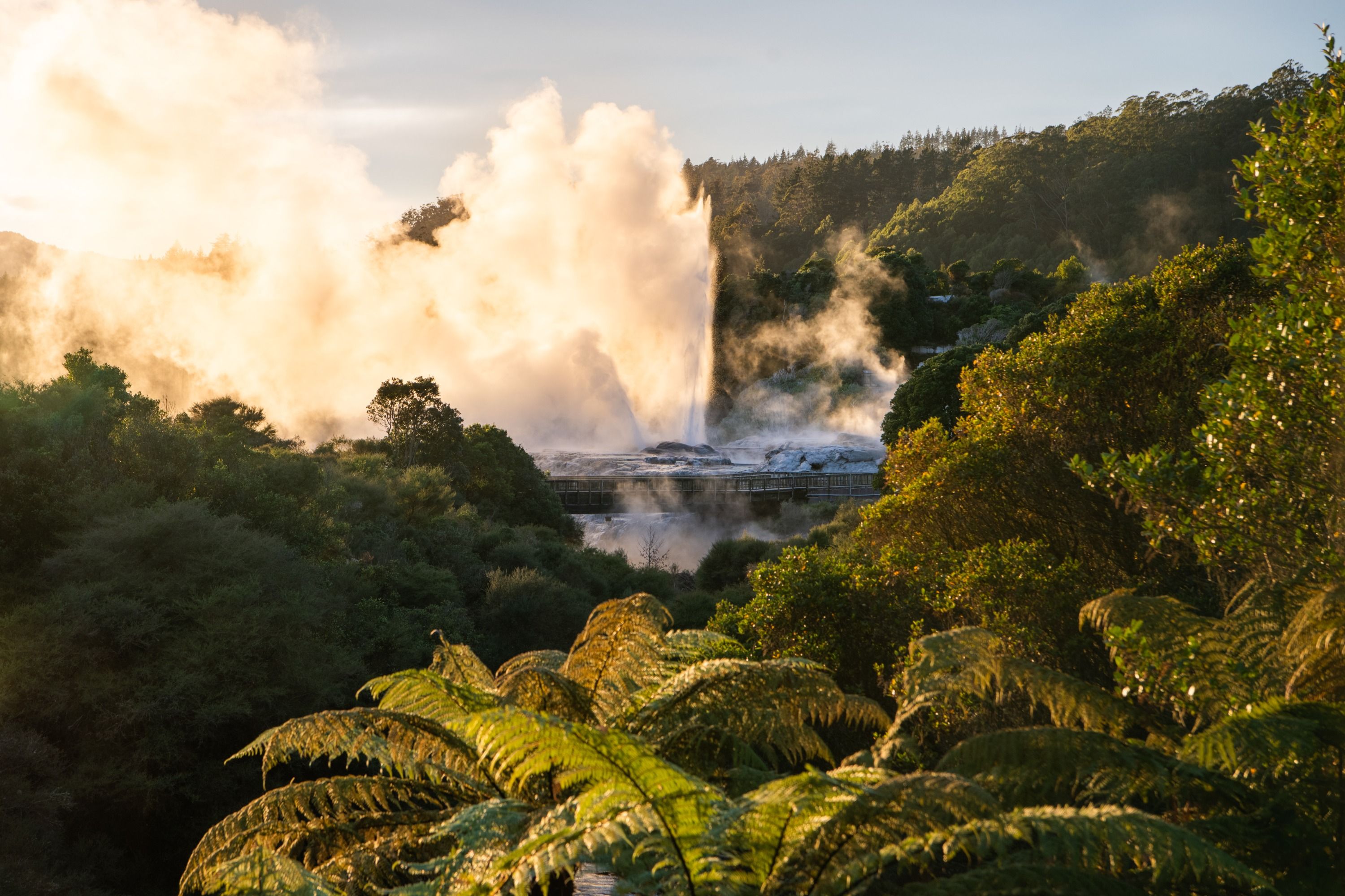 Tickets to Te Puia Ticket 2026 - Tickete
