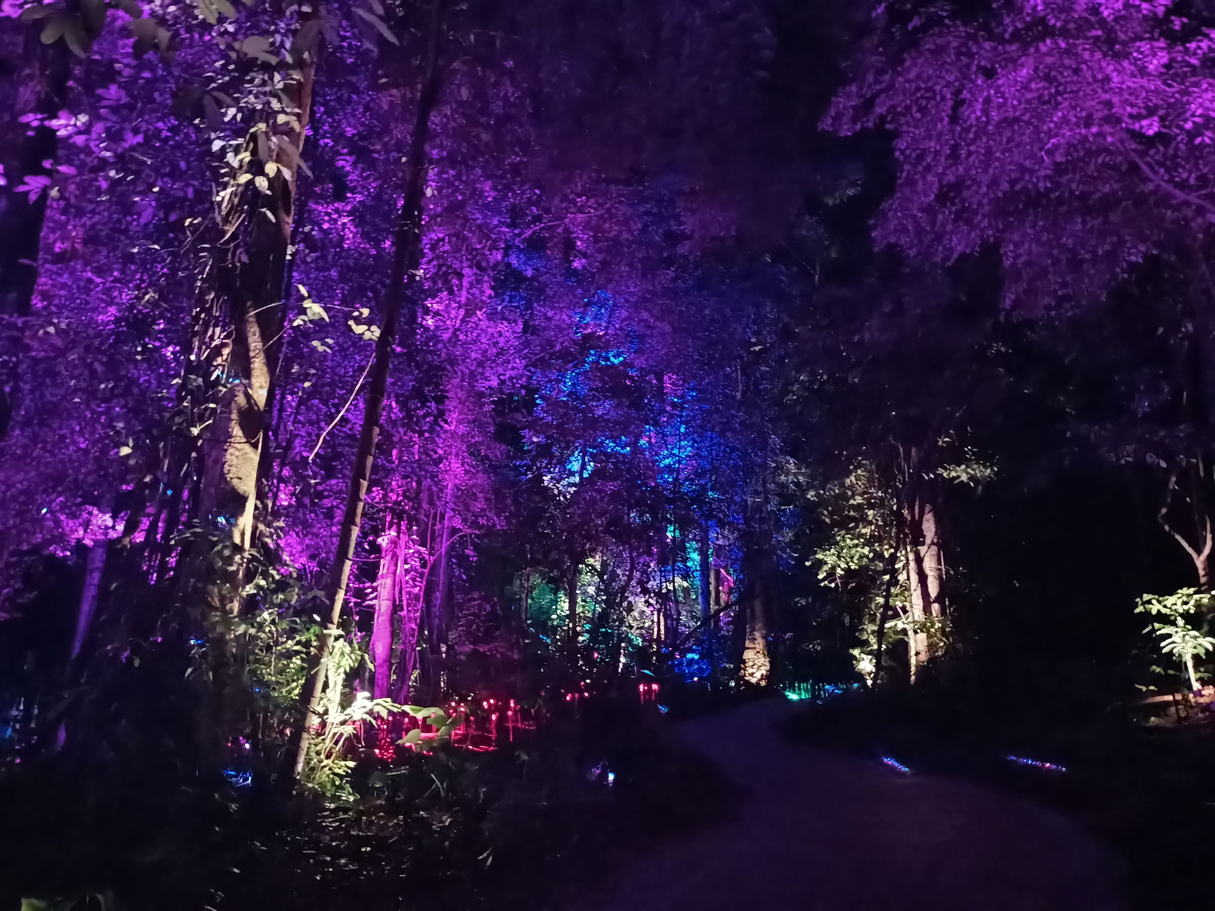 Tickets to Dream Forest Langkawi 2026 - Tickete