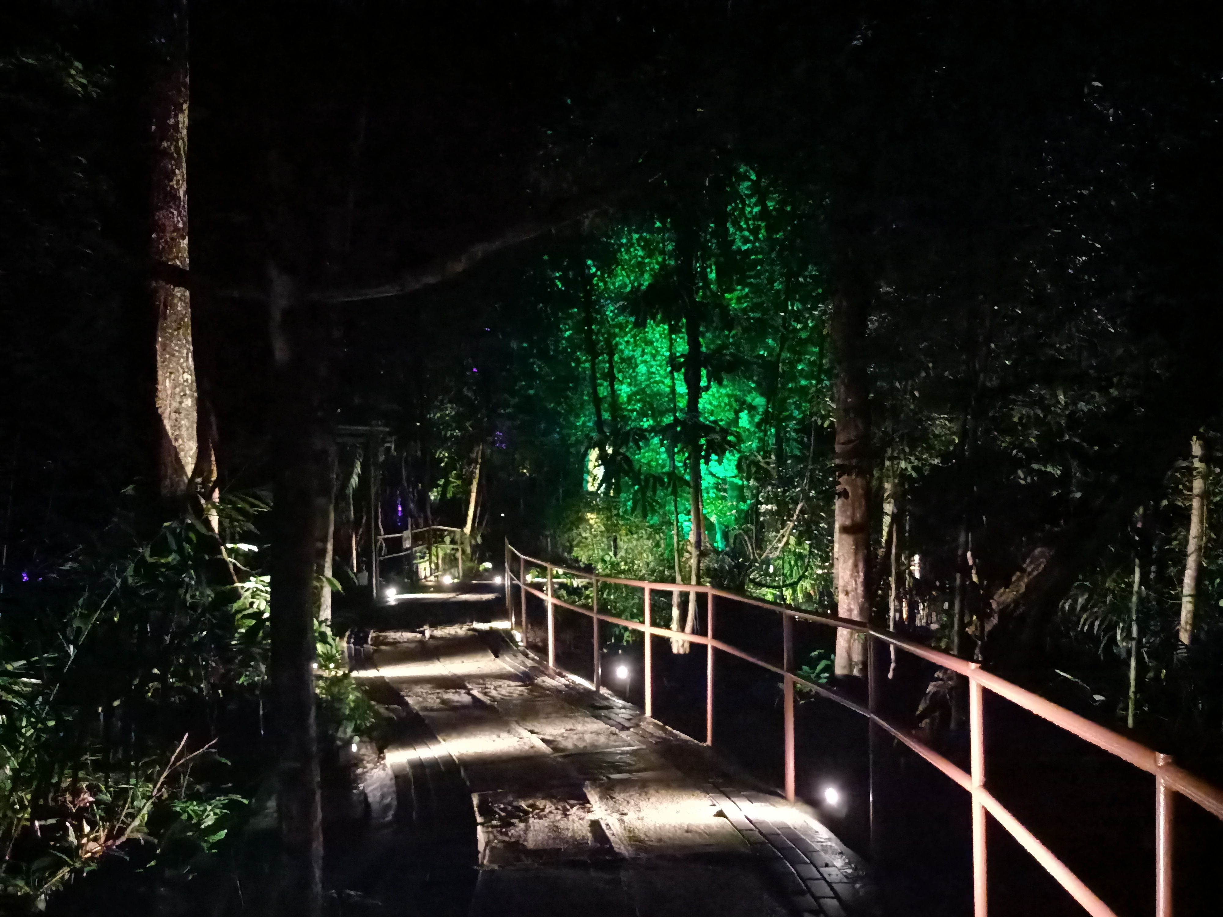 Tickets to Dream Forest Langkawi 2026 - Tickete