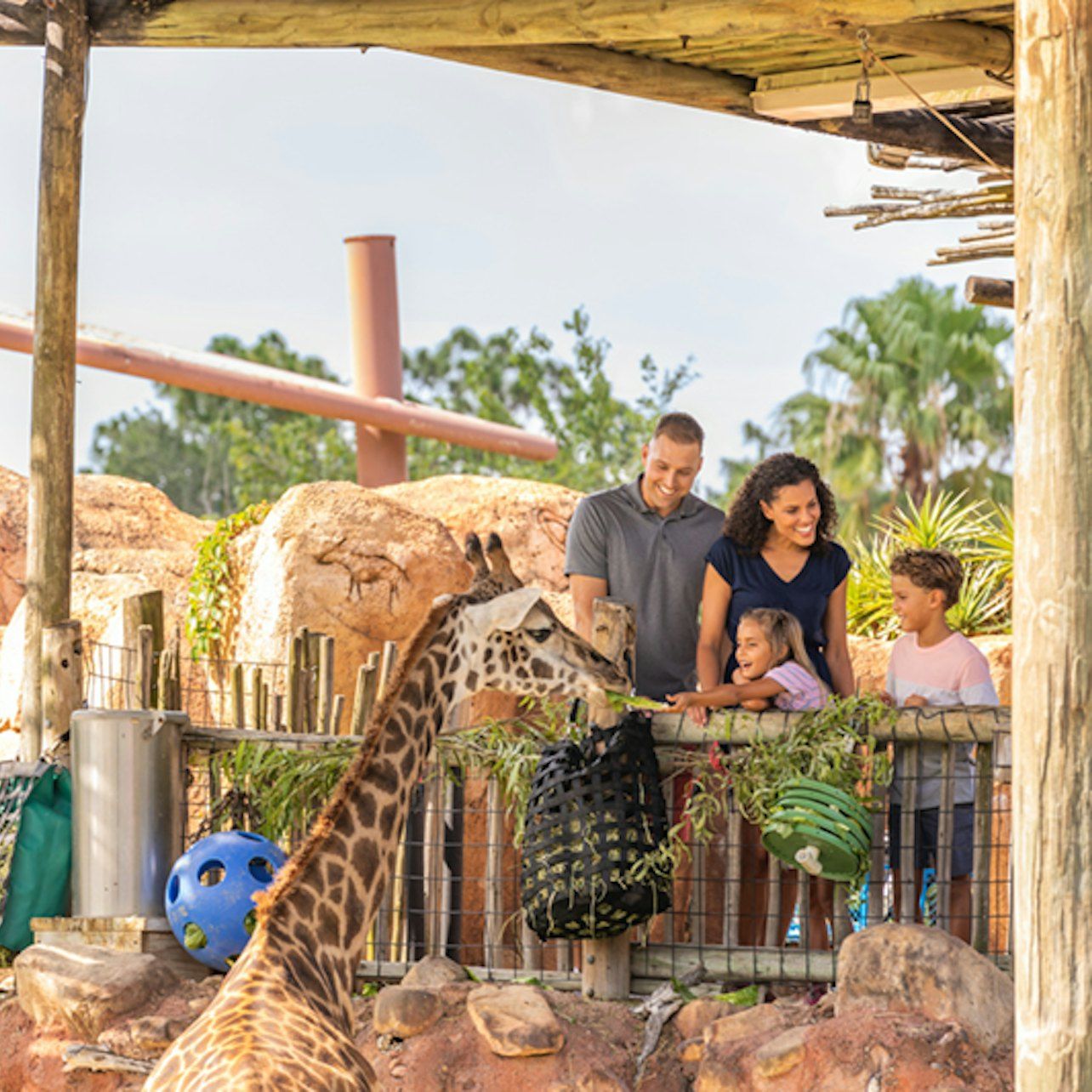 Tickets to ZooTampa at Lowry Park 2026 - Tickete