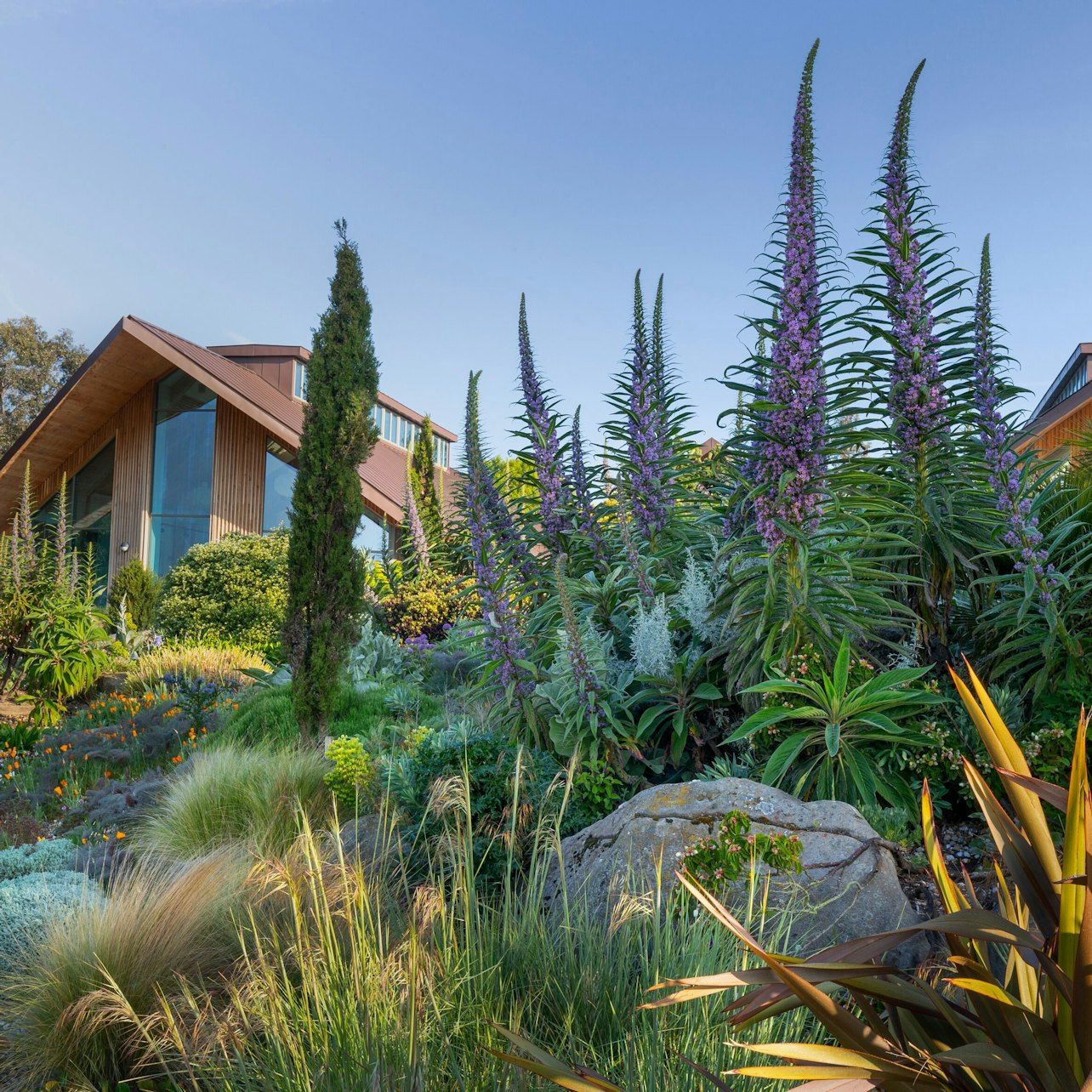 Tickets to RHS Garden Hyde Hall: Entry Ticket 2026 - Tickete